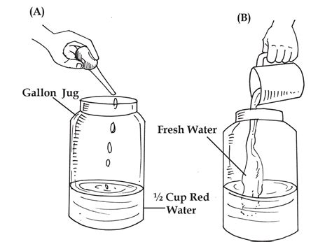 Pollution Problems Biology Experiments Sawan Books