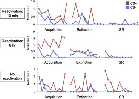 Extinction Training During The Reconsolidation Window Prevents Recovery Of Fear