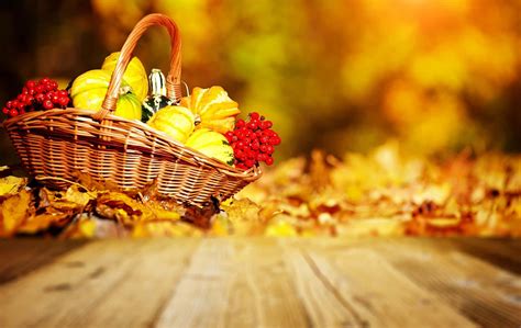 100 Fall Harvest Wallpapers