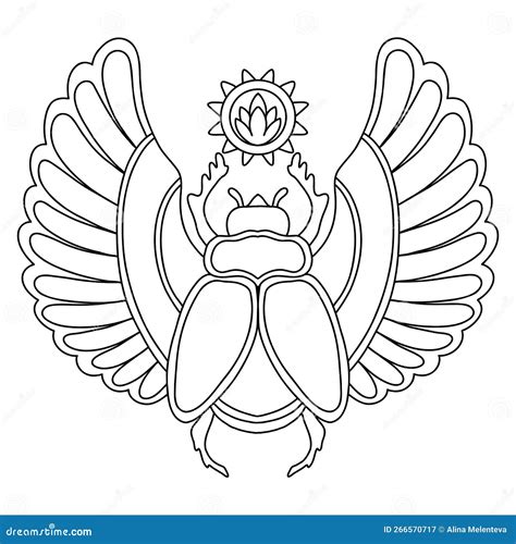 Beetle Template