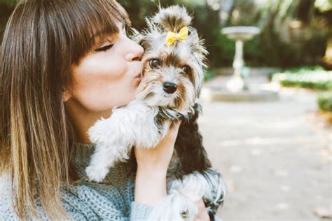 Chica Besando A La De Un Perro Banco De Fotos E Imágenes De Stock