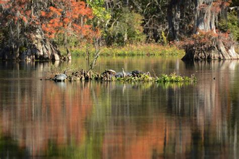 Edward Ball Wakulla Springs State Park A Florida State Park Located Near Crawfordville Tallahassee