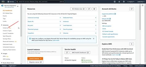 How To Setup An EC2 Instance On AWS Codebriefly