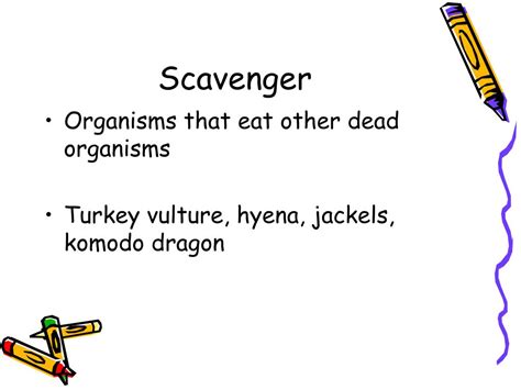 Ppt Chapter 11 Powerpoint Presentation Free Download Id2459280