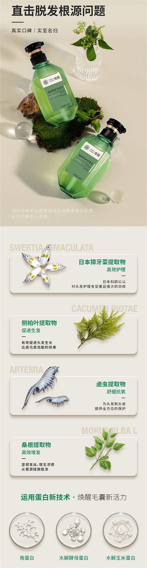 发量暴增！日本橙蔻蛋白质洗发水护发素强韧修护生发柔顺控油蓬松 淘宝网