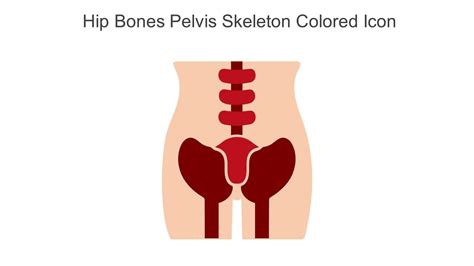 Anatomy Of Hip Bone And Femur Ppt Free