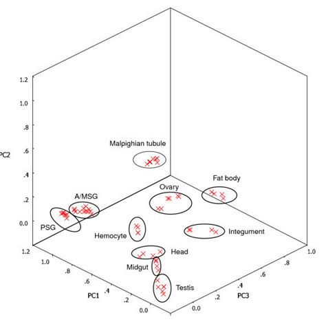 Pca Of The Silkworm Microarray Data The Pca Plot Illustrates The
