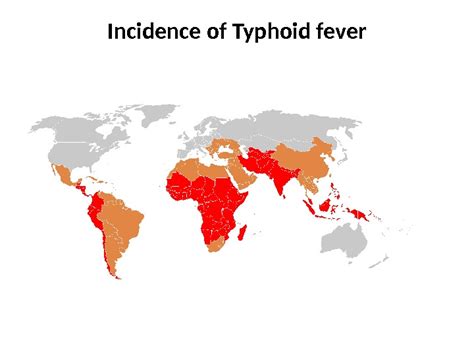 Typhoid Fever And Paratyphoid Fevers A B And