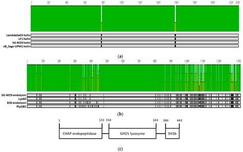 Comprehensive Characterization Of A Streptococcus Agalactiae Phage