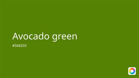 Avocado Green Color Hex Code Palettes And Meaning