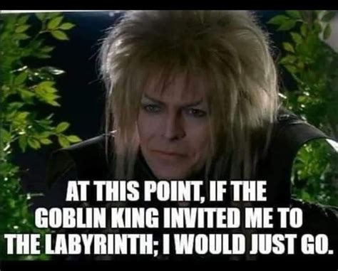 Labyrinth Goblin King Labyrinth Labyrinth Movie