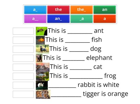 Definite And Indefinite Articles Match Up