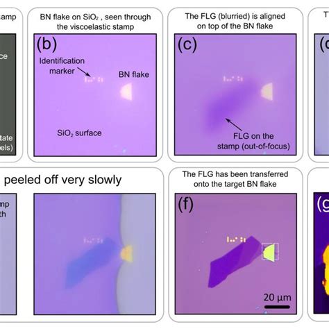 Deterministic Transfer Setup And Process A Schematic Diagram Of The