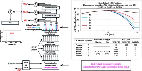 Auditory Model Individualization The Block Diagram On The Left Depicts Download Scientific