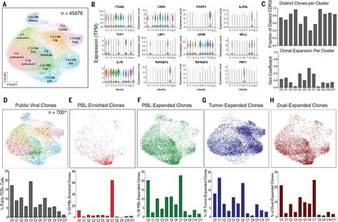 Molecular Signatures Of Antitumor Neoantigen Reactive T Cells From Metastatic Human Cancers Pmc