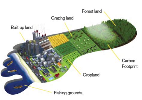 Why Green Economy Ecological Footprint Of The Richest Methodology