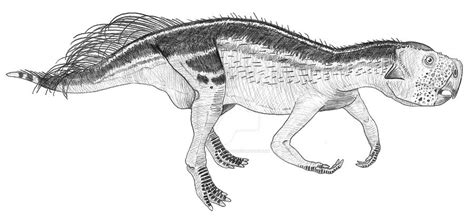 New Psittacosaurus By Paleoaeolos On Deviantart