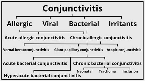 Conjunctivitis Pink Eye Types And Management Pains Portal