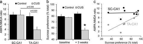 Chronic Stress Induces A Selective Decrease In Ampa Receptor Mediated