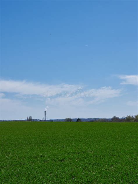 Vertical Shot Of Green Grass Field Under Blue Sky Stock Image Image