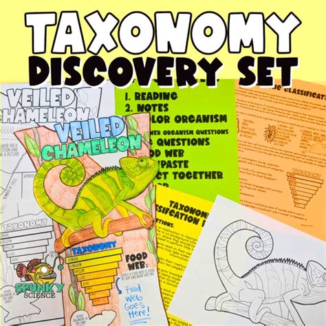 Taxonomic Classification Project Veiled Chameleon Life Science Activity