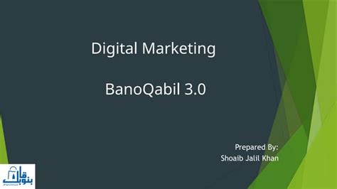 shoaib digital marketing banoqabil 3 0 pptx