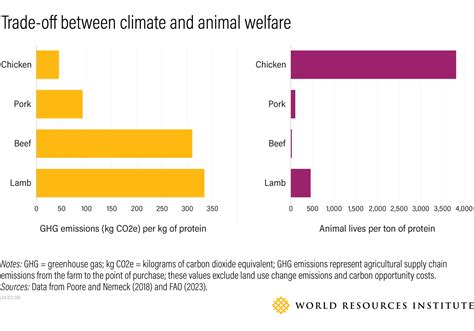 Does ‘less Meat Better Meat Actually Solve Beefs Climate Problem Green Reporter