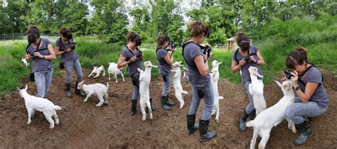 Dancing With Goats Finding Life After Loss