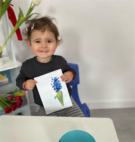 Plase Insecte Campulung Muscel