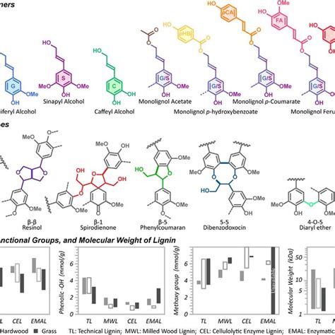 A Conventional Lignin Monomers B Well Identified Lignin Linkages