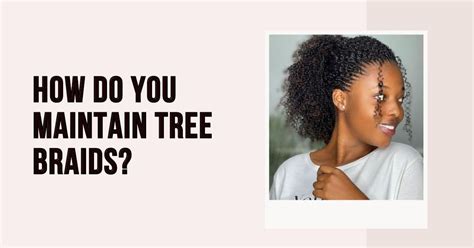 How Do You Maintain Tree Braids