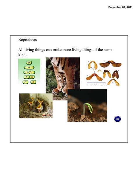 Taxonomy Notes Pdf Pdf