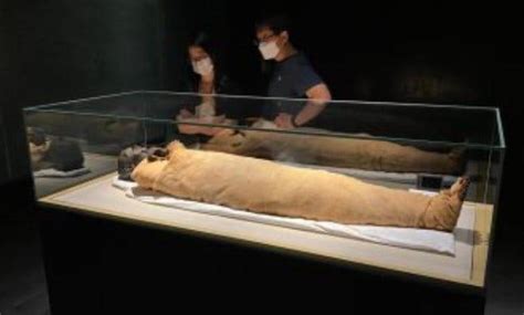 Day Trip To The Royal Mummies Hall From Soma Bay By Private Car Egypt Tour Magic