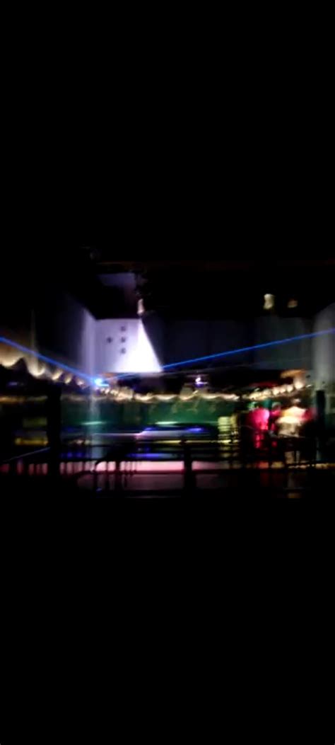 Vogel Rok Tweede Wachtruimte 1998 1999 R Efteling