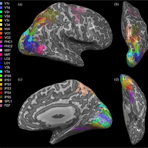 Structuralfunctional Coupling Download Scientific Diagram