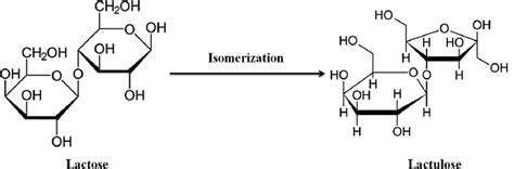 Lactose Formation Lactose Formation