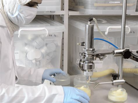 Iso 22716 For Cosmetics Empowering Your Brand With Our Top Oem Odm Cosmetic Solutions