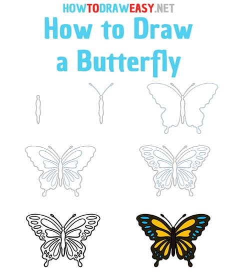 Flying Butterfly Drawing Easy Step By Step