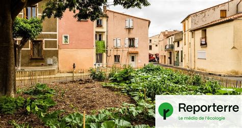 Kim Jonker On Linkedin Dans Cette Ville éponge Les Potagers
