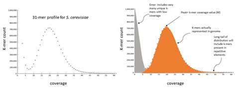 Exploring Input Data And Genome Characteristics Genome Assembly
