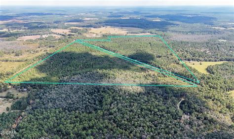 In Bonifay In Bonifay Florida United States For Sale 16684094