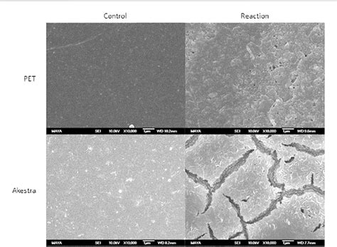 Figure 6 From Comparison Of The Enzymatic Depolymerization Of Polyethylene Terephthalate And