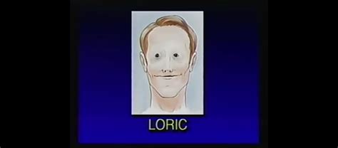 When You Feeling Kinda Loric Today Rmemes