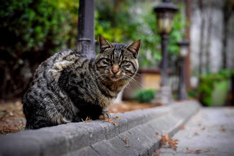 20160407 摄影：cherry刘欣怡 高清图片，堆糖，美图壁纸兴趣社区