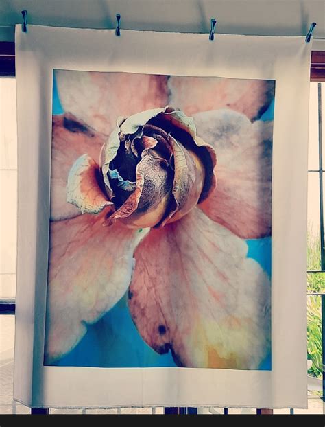 Concurso Rotary Club De Flores D4895 Marcela Roldan