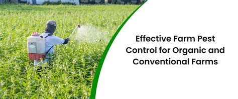 Guide To Effective Farm Pest Control For Organic And Conventional Farms