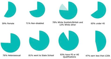Respondent Profile Equalities Diversity And Inclusion In The Screen