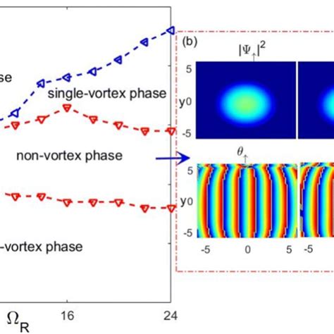 Color Online The Ground State Phase Diagram Of Rabi Coupled