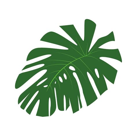 Premium Vector Colour Leaf