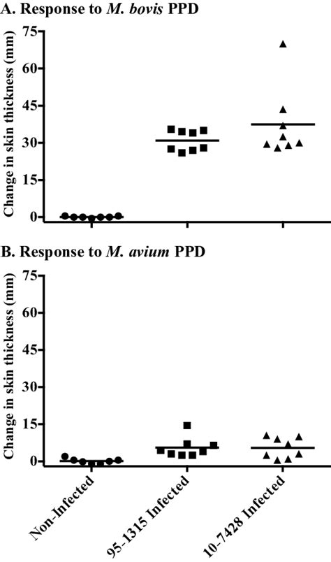 Comparison Of Delayed Type Hypersensitivity Responses As Measured By